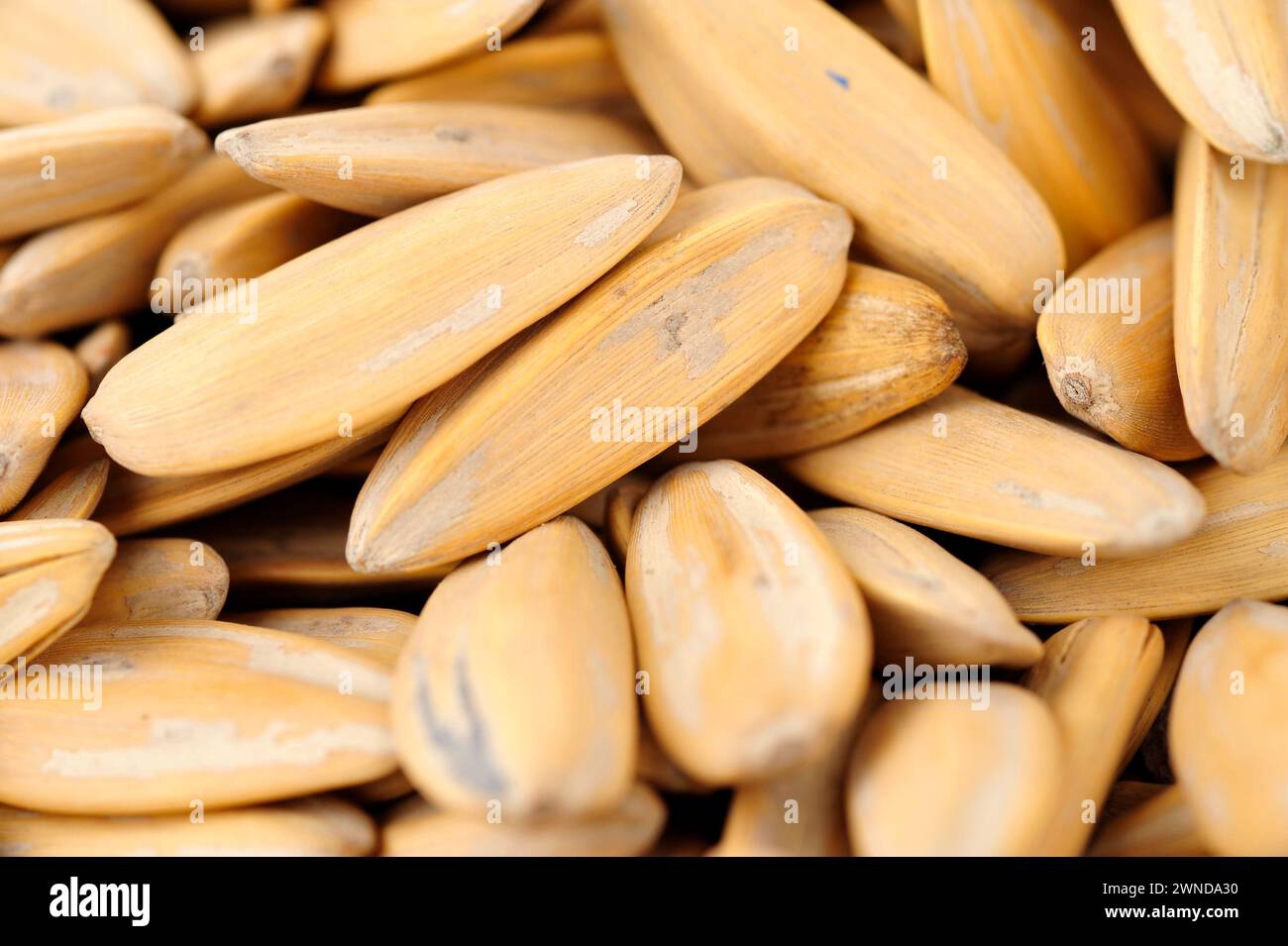 China melon seeds hi-res stock photography and images - Alamy