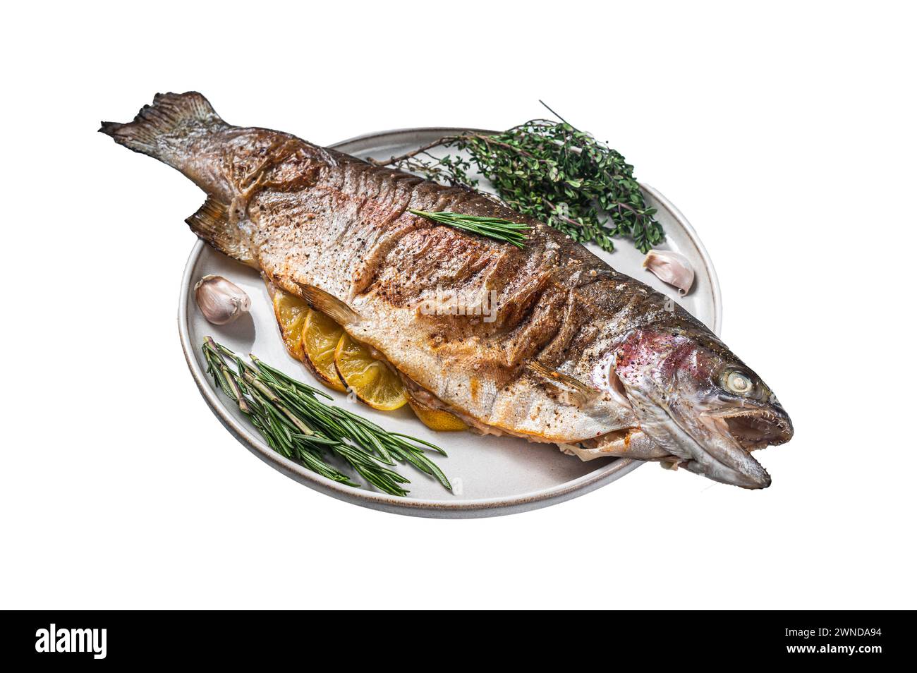 Baked silver trout, roasted fish on a plate with herbs. Isolated on ...