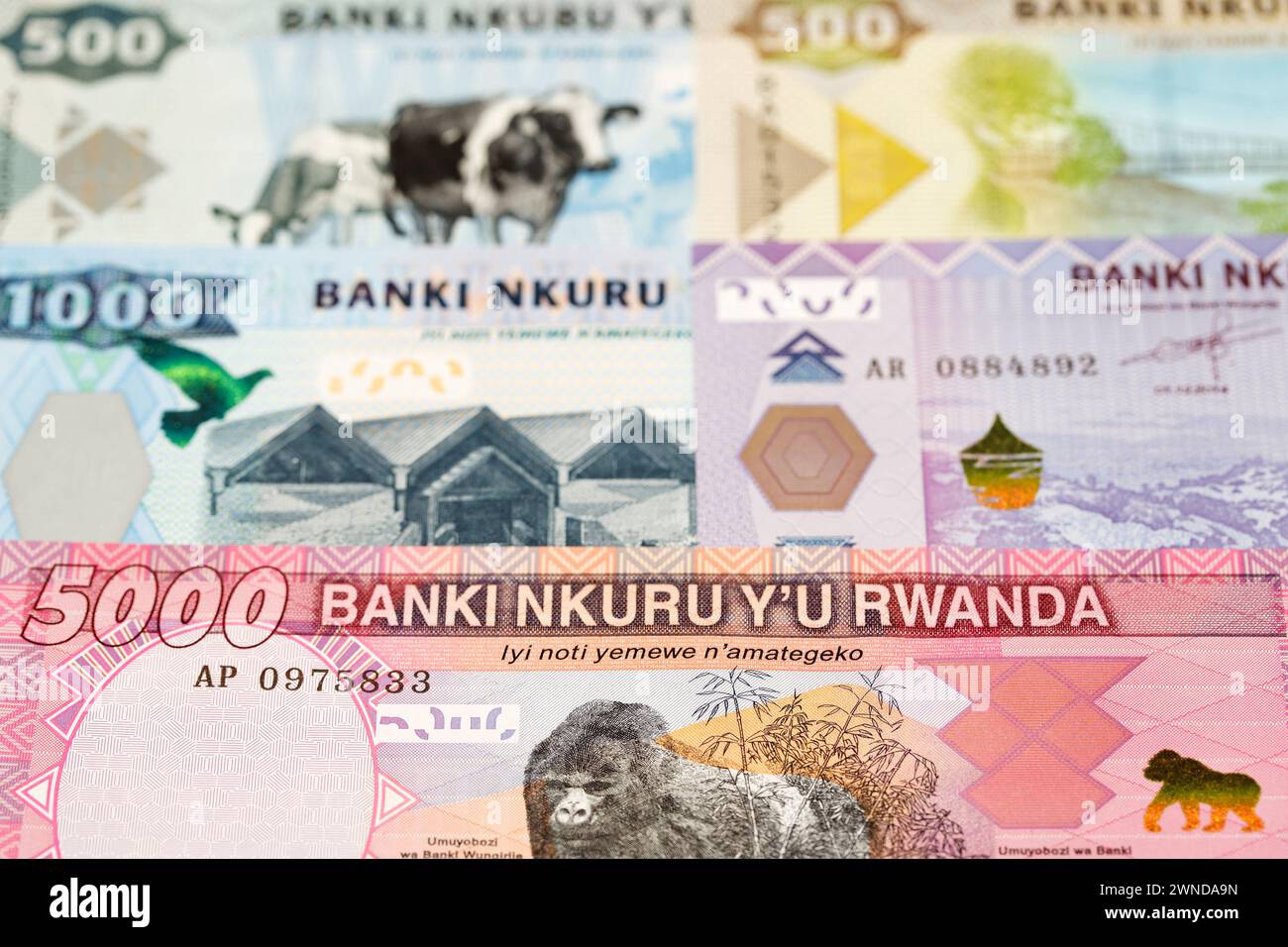 Rwandan money - franc a business background Stock Photo - Alamy