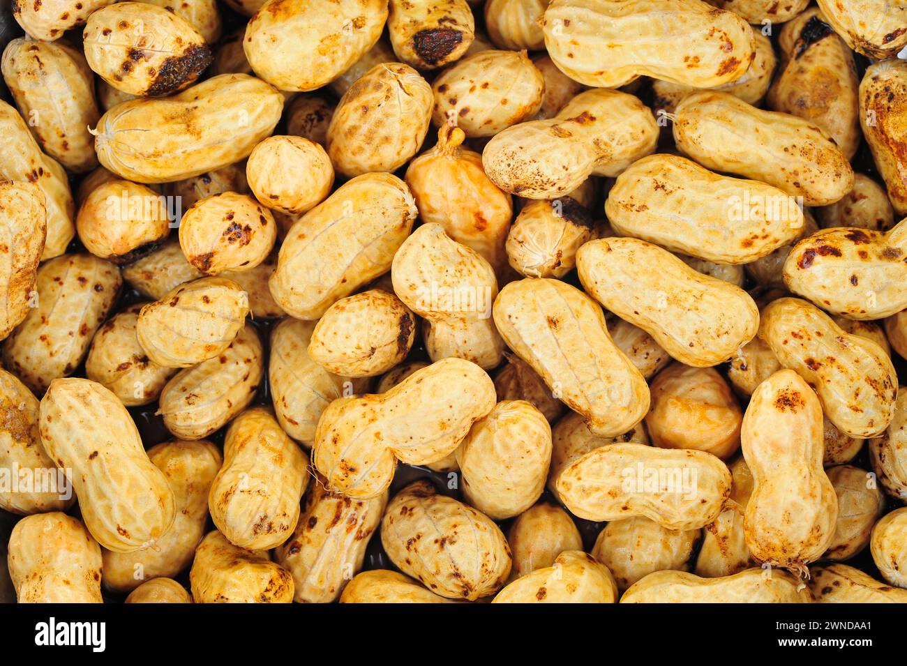 Peanut trees hi-res stock photography and images - Alamy
