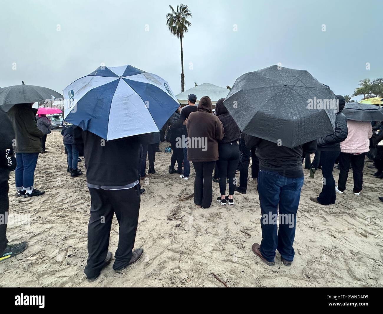 Barbara angus hi-res stock photography and images - Alamy