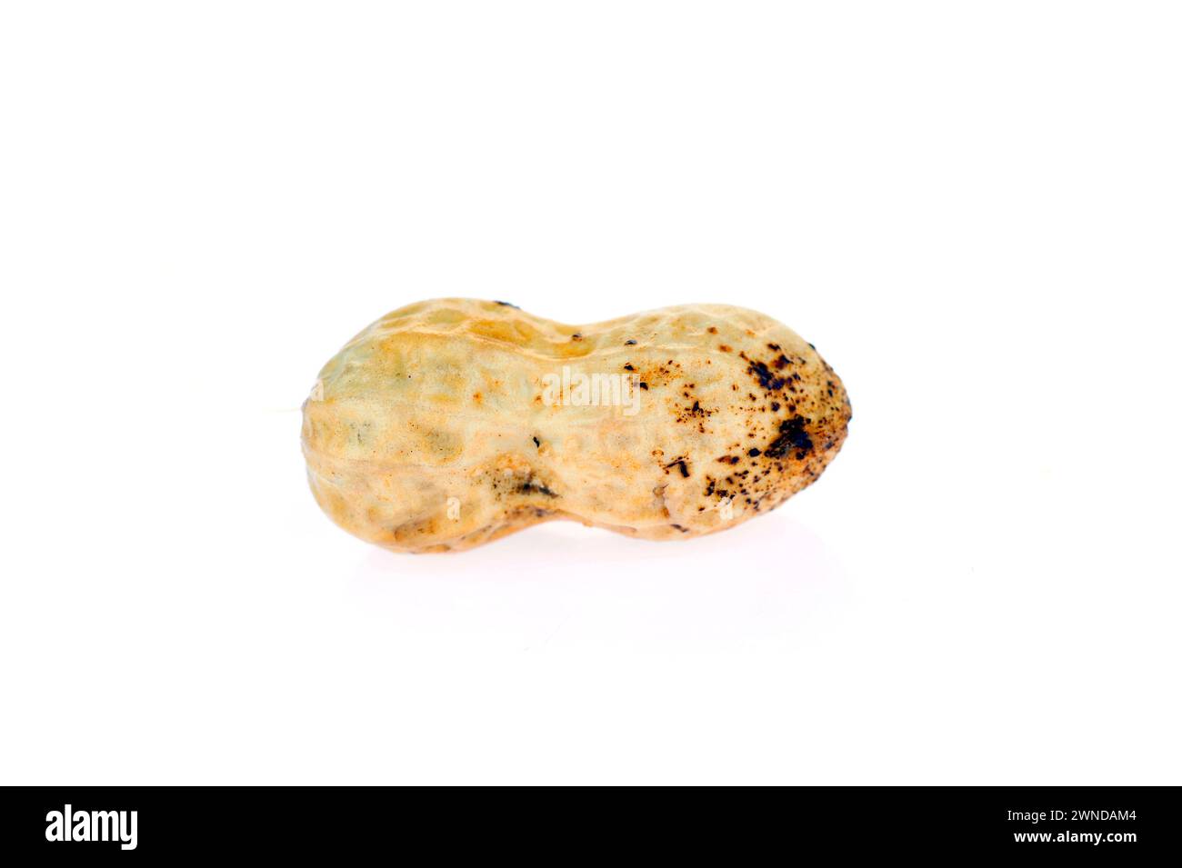 Peanuts with and without shell hi-res stock photography and images - Alamy