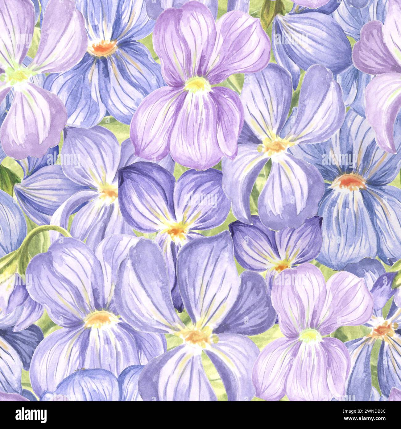Seamless pattern from wild violets with green leaves. Hand drawn ...