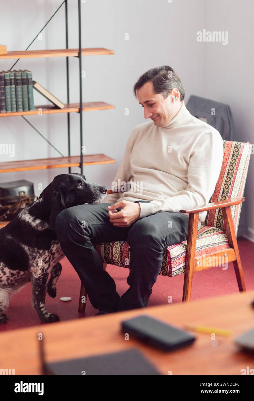 Portrait of an elderly shorthaired pointer, black and white, giving his ...