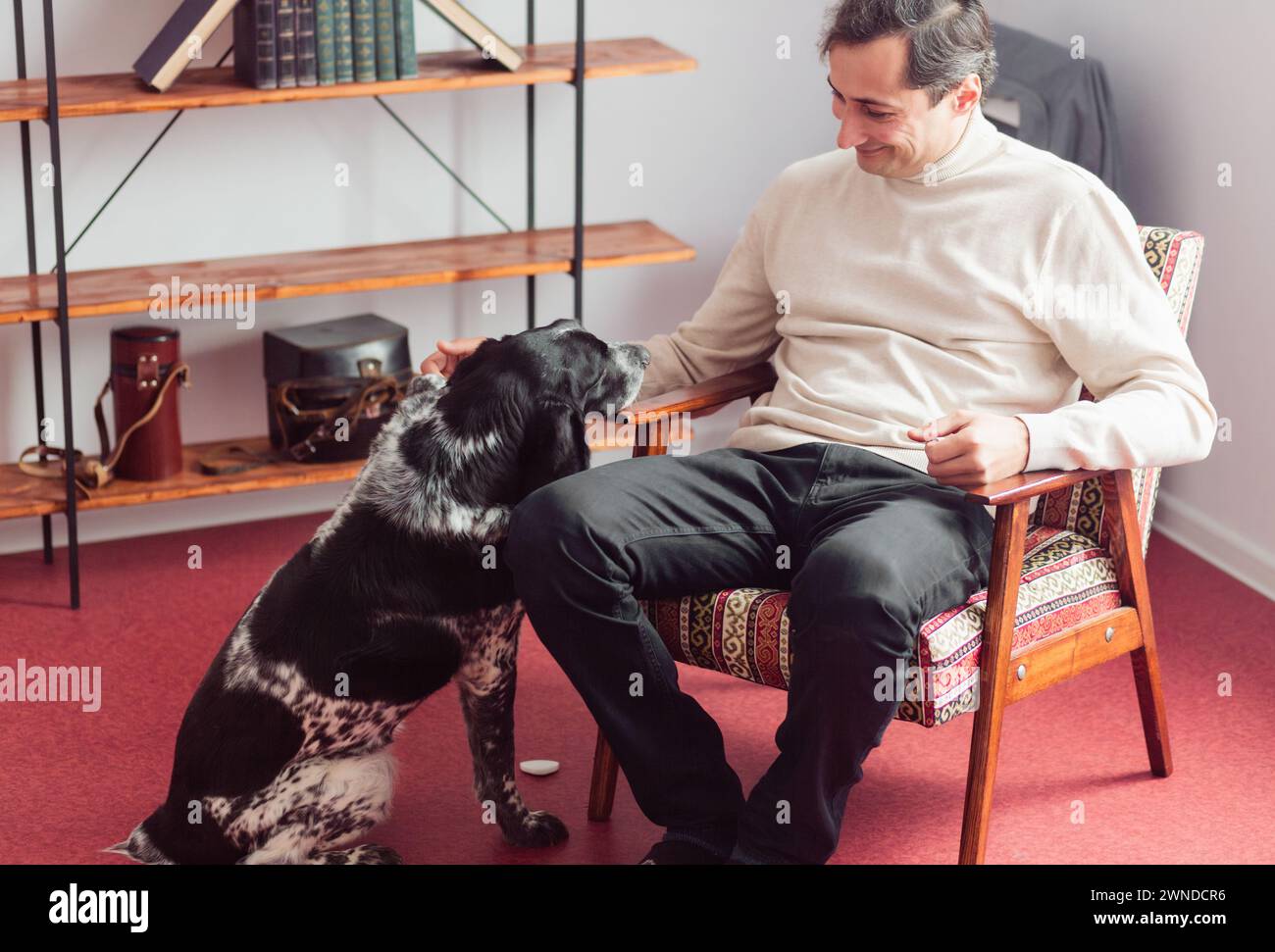 Portrait of an elderly black and white shorthaired pointer giving a paw ...