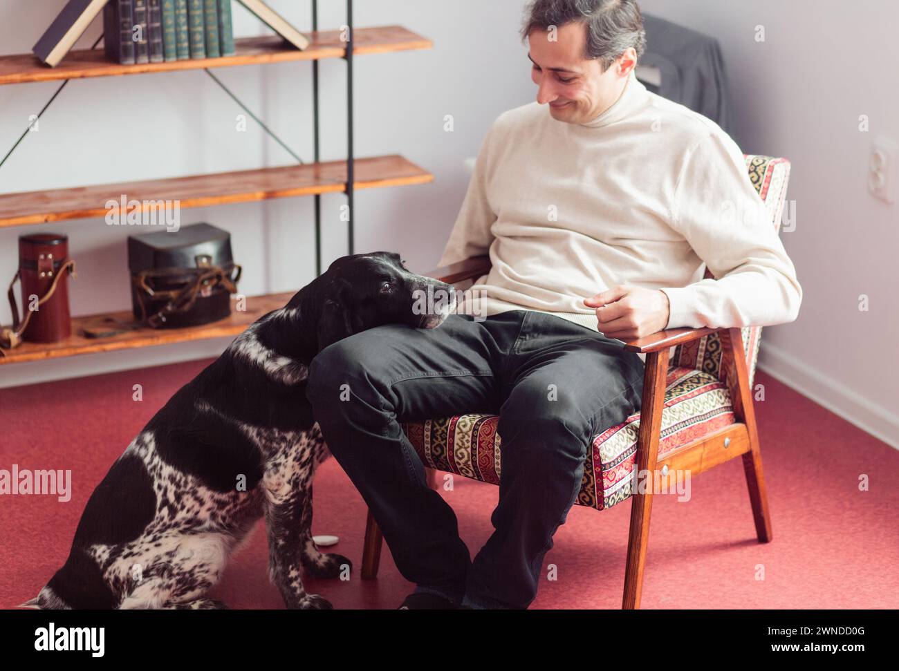 Portrait of an elderly shorthaired pointer, black and white, who placed ...