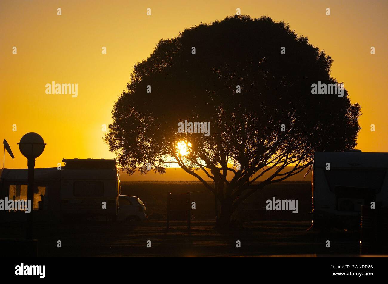 Sunset behind tree Stock Photo - Alamy