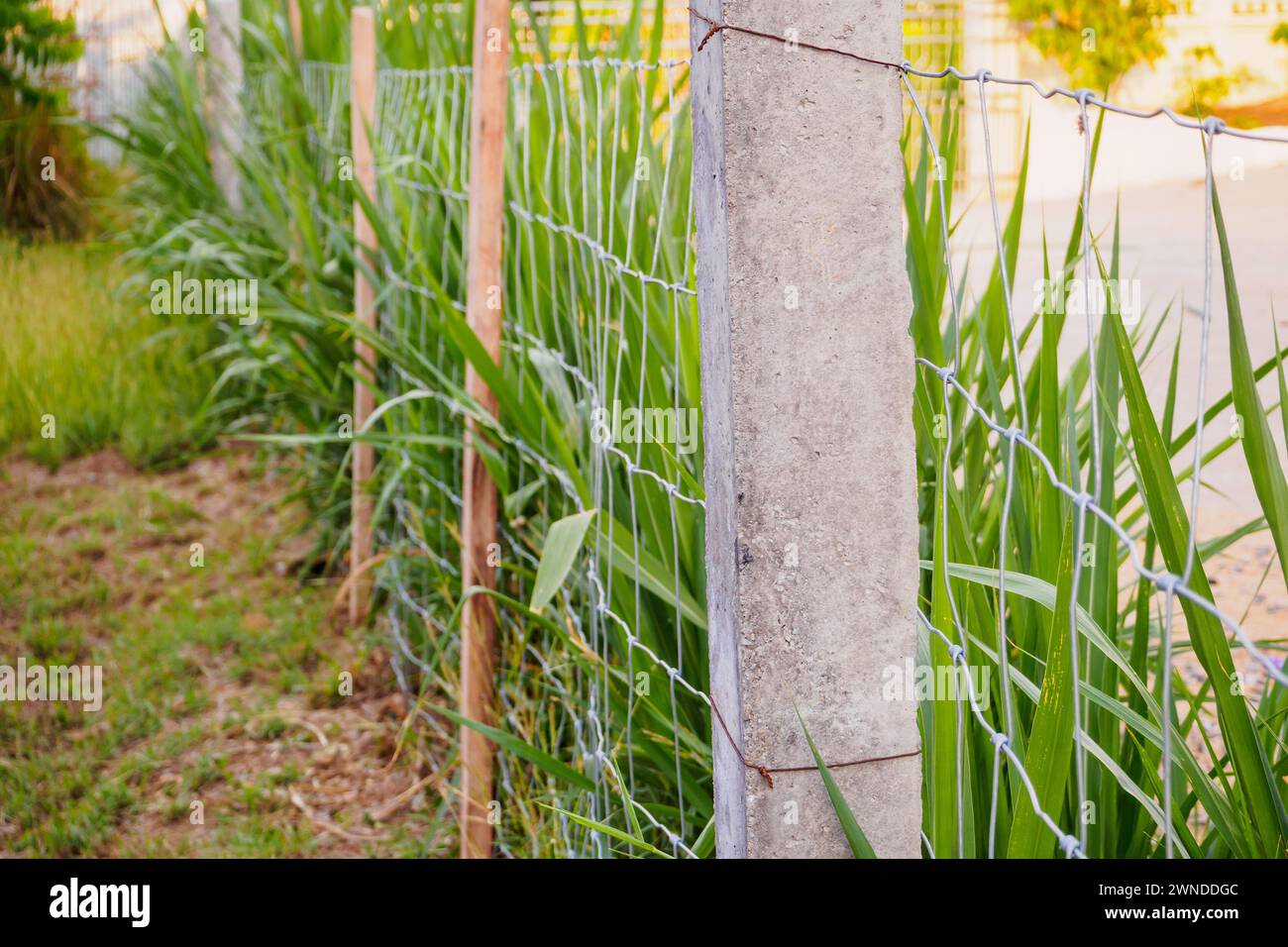 Metal fence wire hi-res stock photography and images - Alamy