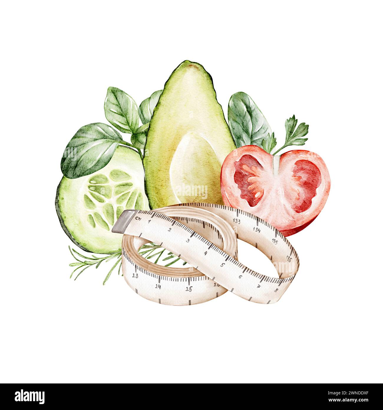 Measuring tape, tomato, cucumber, avocado, spinach, basil. Weight ...