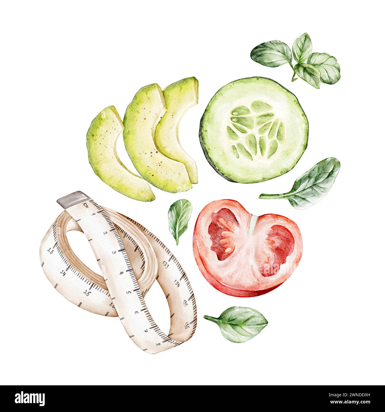 Measuring tape, tomato, cucumber, avocado, spinach, basil. Weight ...