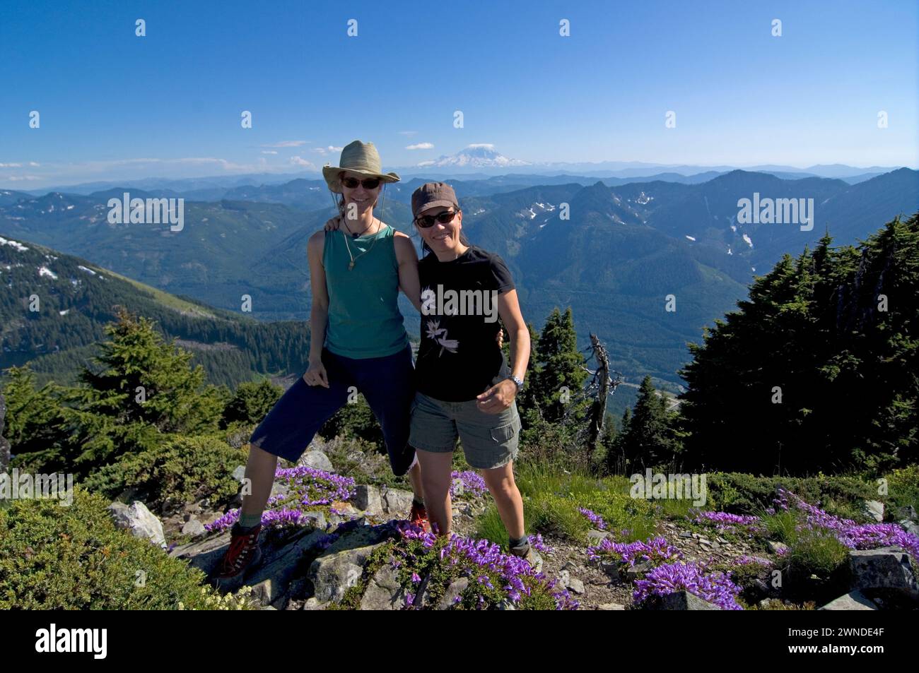 Hikers Mt Defiance and Cascade range Davidson's penstemon Penstemon ...