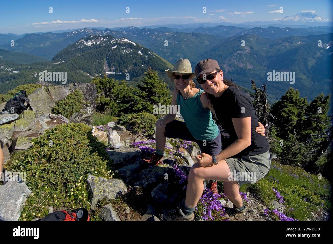 Hikers Mt Defiance and Cascade range Davidson's penstemon Penstemon ...