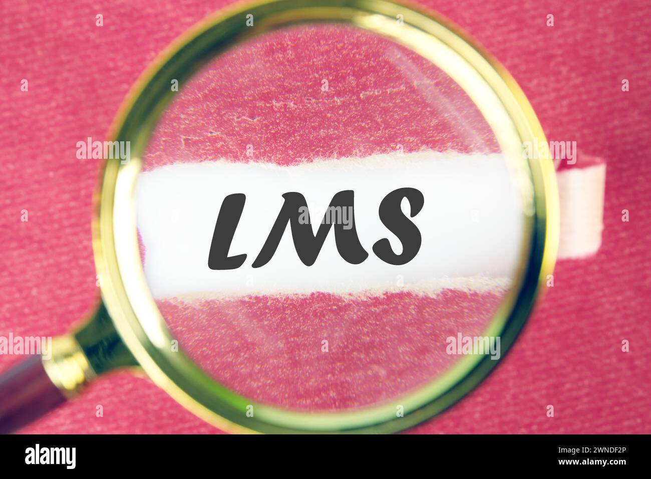 Abbreviation of Learning management system, Word LMS through a ...