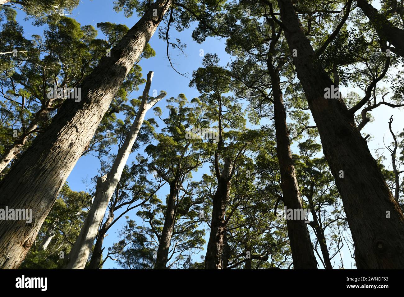Towering observation structure hi-res stock photography and images - Alamy