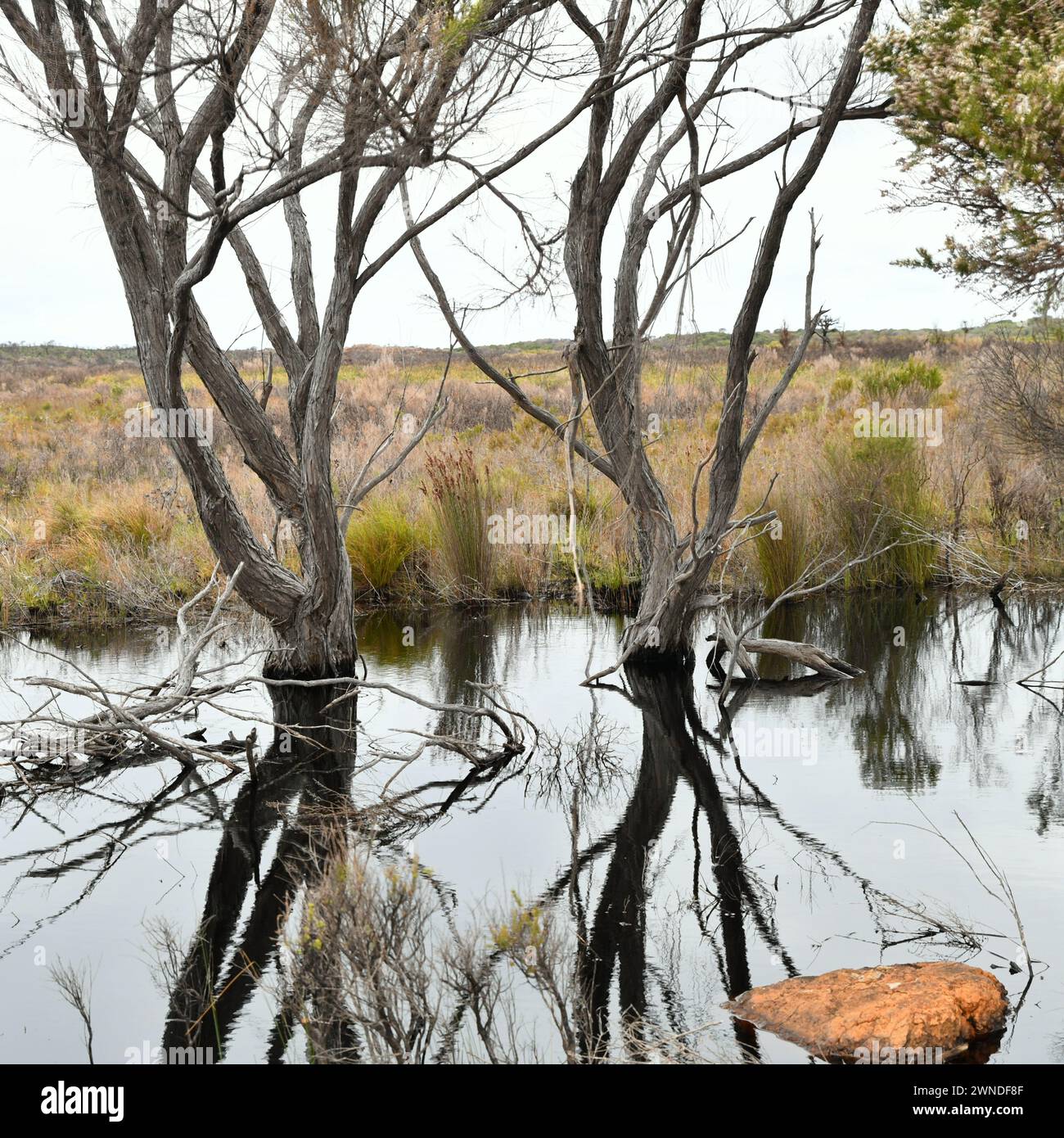 Environment national park hi-res stock photography and images - Alamy