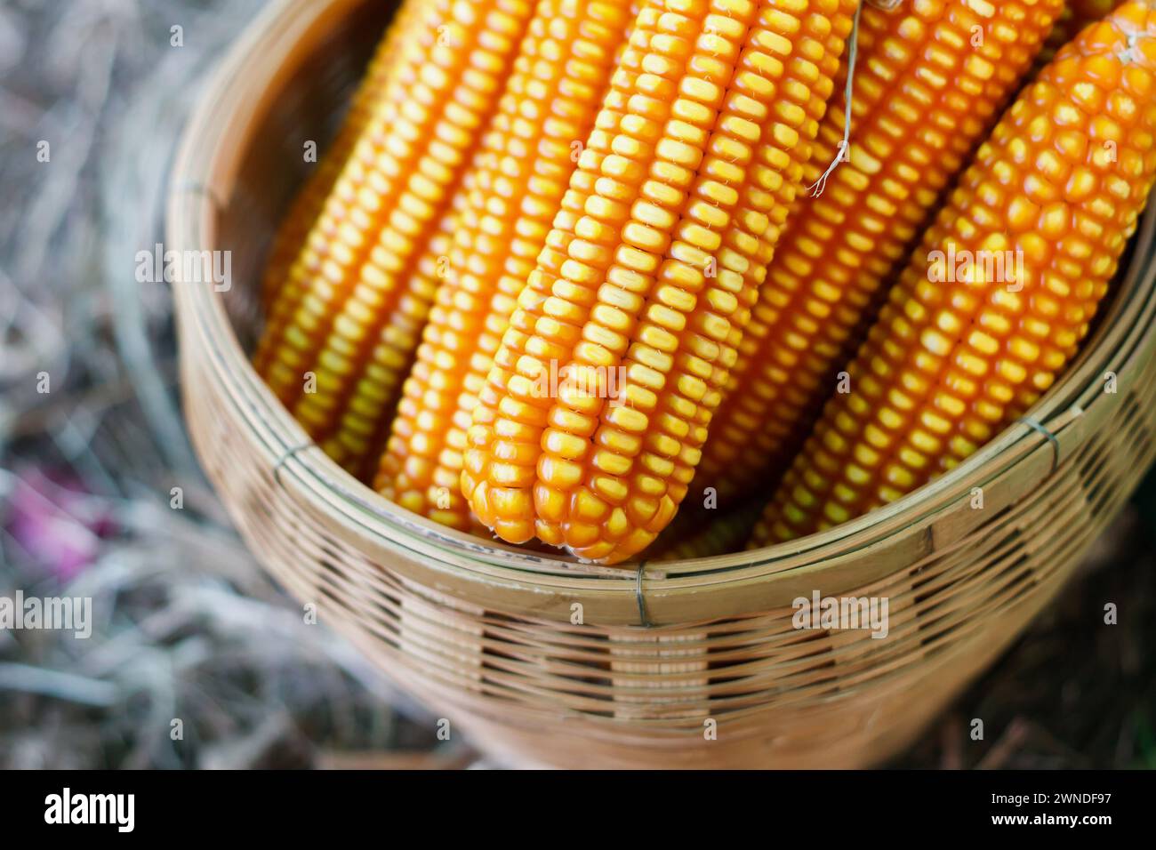 Dried corn in basket background Stock Photo - Alamy