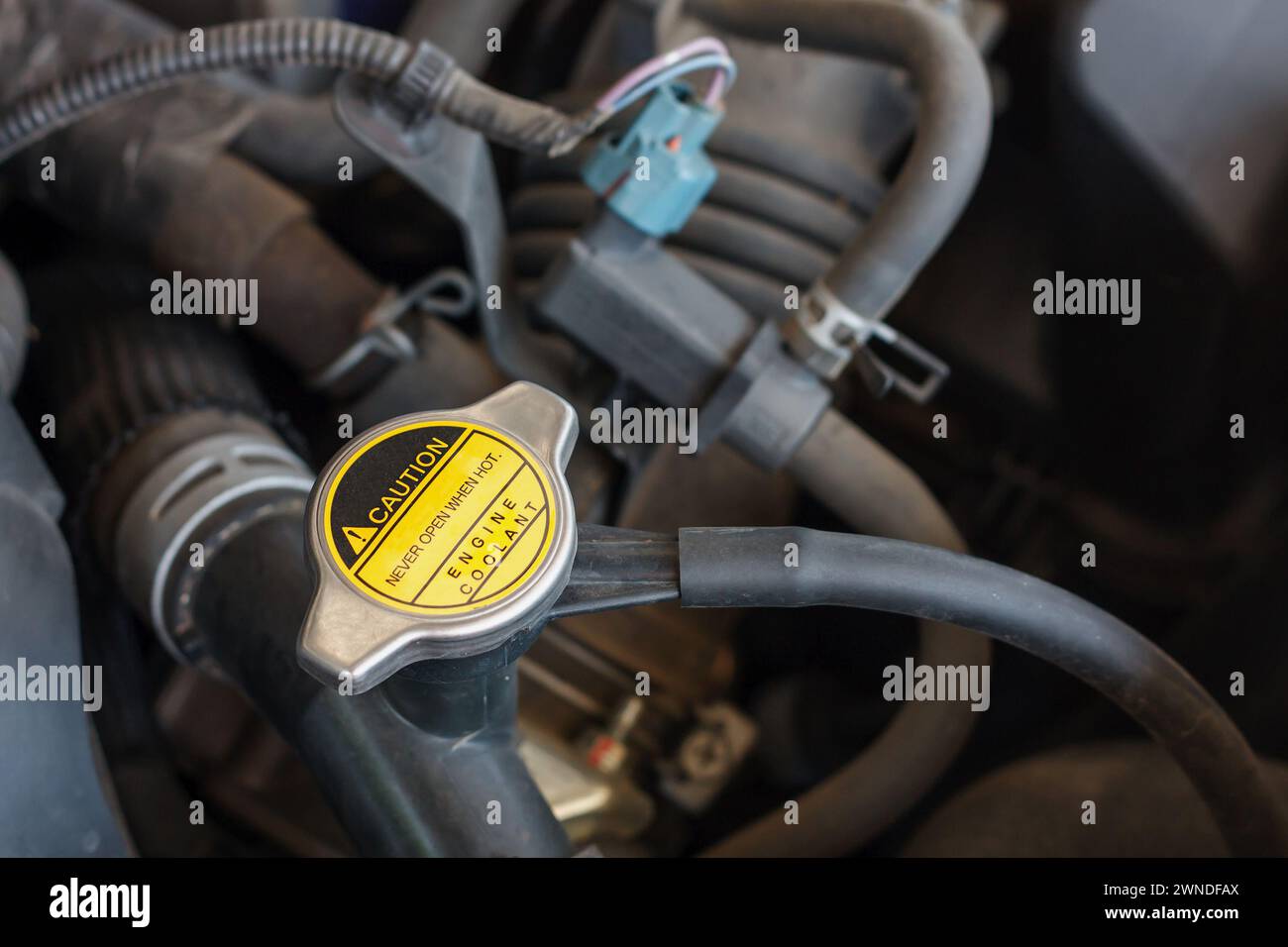 coolant system in the car Stock Photo - Alamy