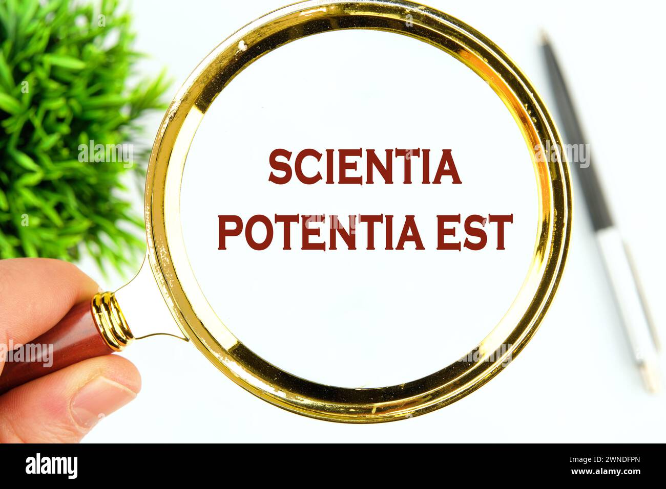 the phrase Scientia Potentia Est (Knowledge is power) written in Latin ...