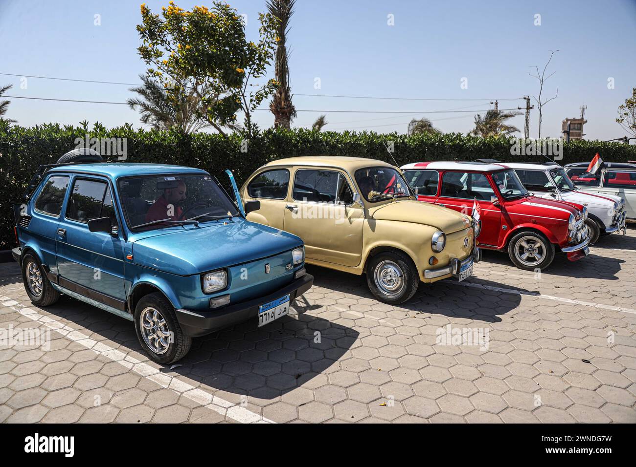 Cairo, Egypt. 1st Mar, 2024. Vintage cars are pictured during a grand ...