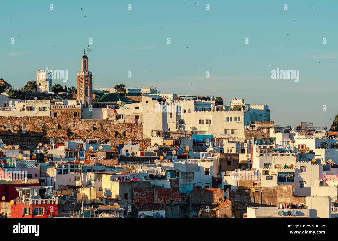 View of the Tanger Medina skyline in North Morocco Stock Photo - Alamy