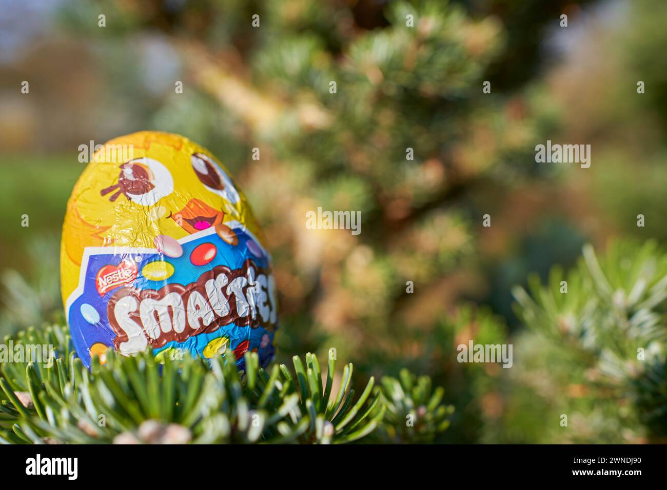 Stuttgart, Germany - February 29, 2024: Nestle Smarties easter egg in ...