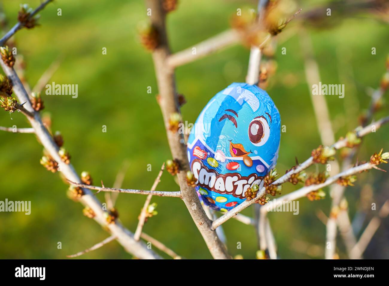 Stuttgart, Germany - February 29, 2024: Nestle Smarties easter egg in ...