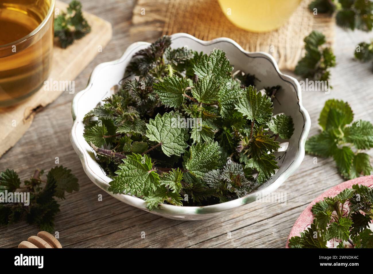 Stinging nettle in glass bowl urtica hi-res stock photography and ...
