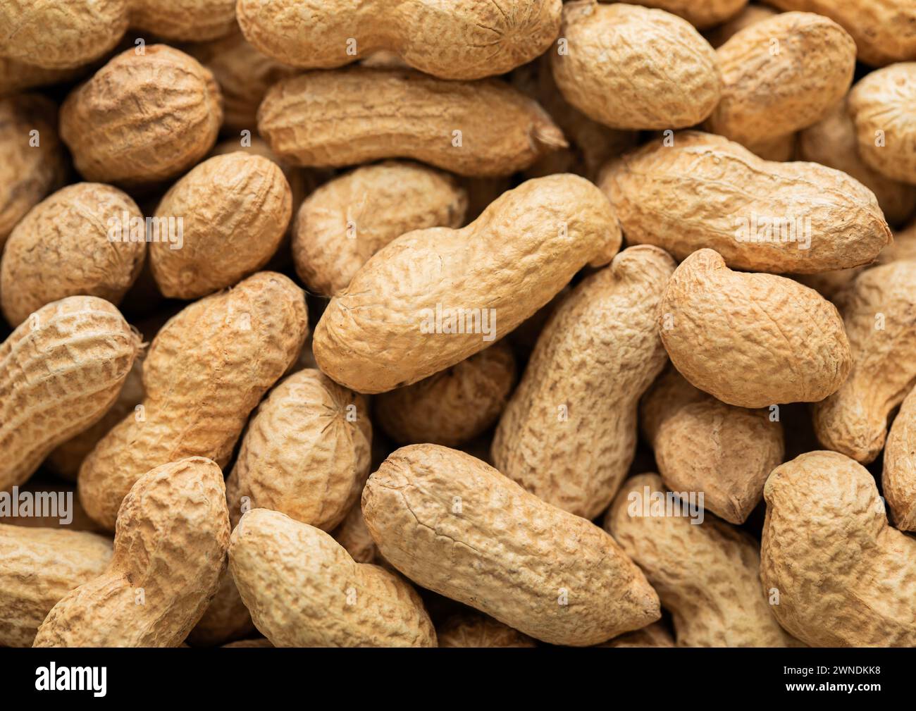 Raw shell peanut nuts top view macro background Stock Photo - Alamy