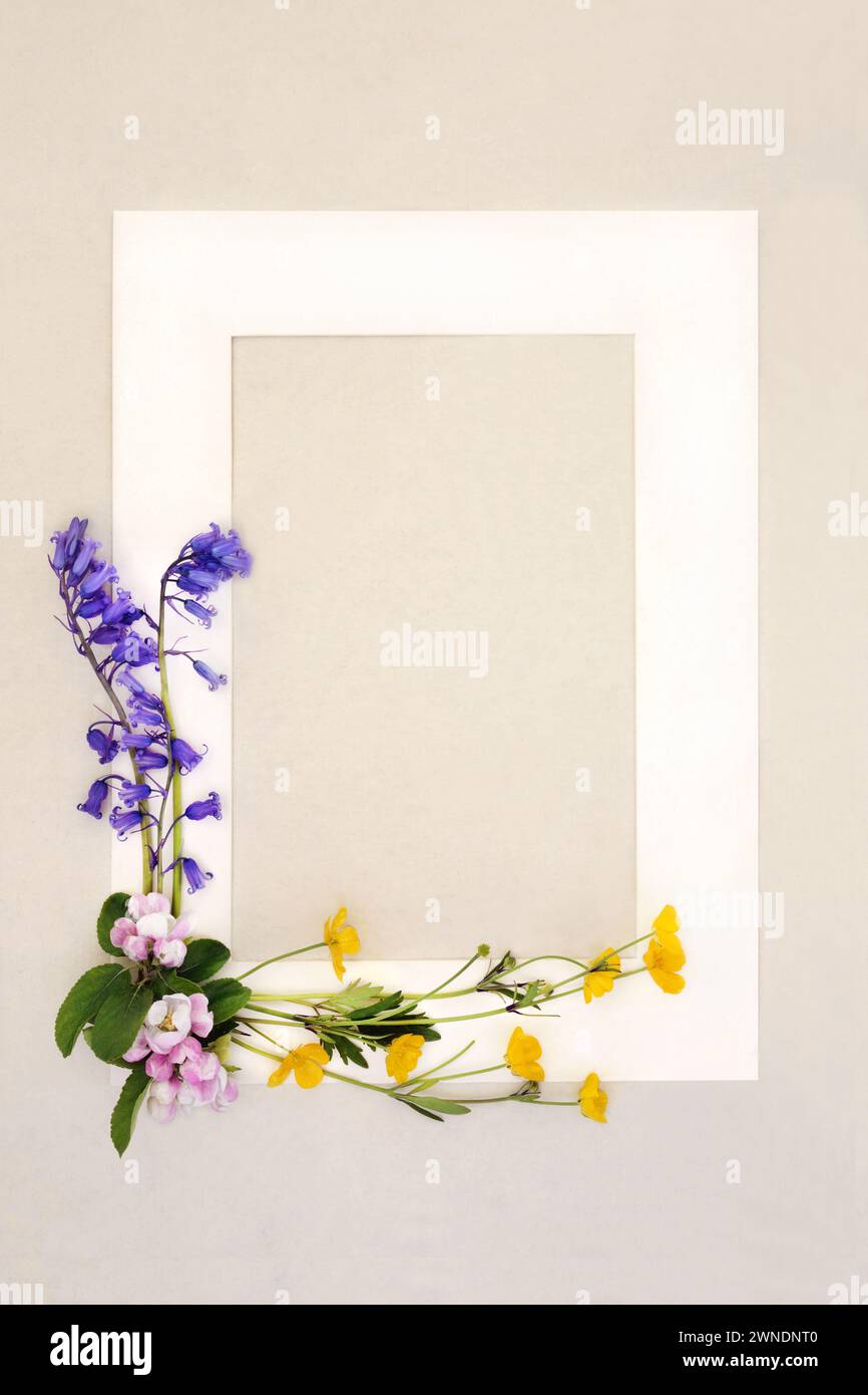 Spring flower background frame with bluebell, apple blossom and ...