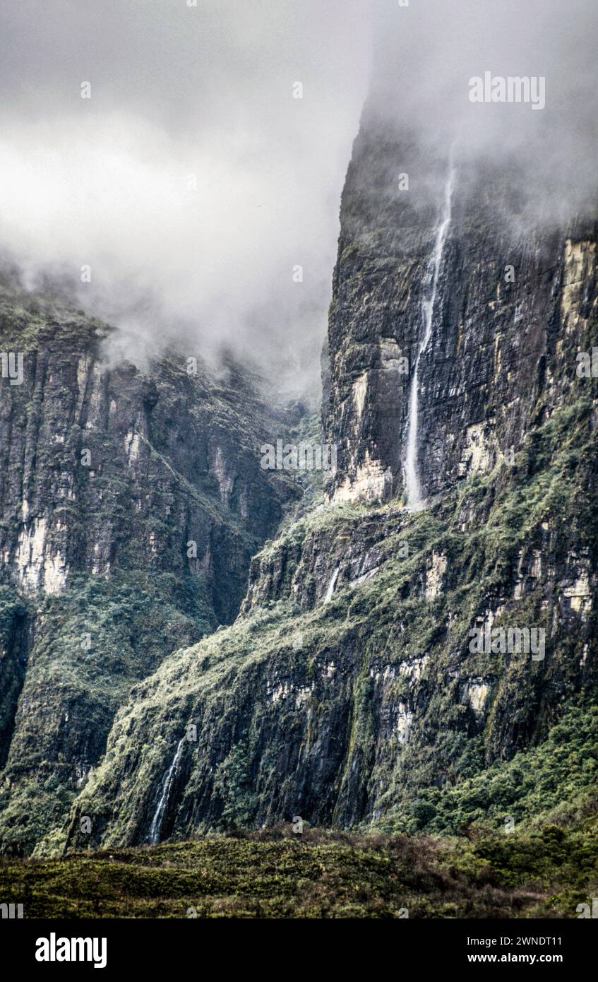 Gran Sabana. Trekking to Roraima Tepuy.State of Bolivar. Venezuela ...
