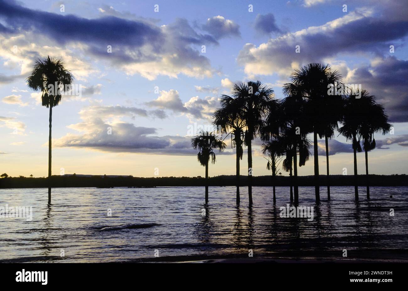 Canaima Lagoon. Canaima National Park. Gran Sabana. Bolivar State ...