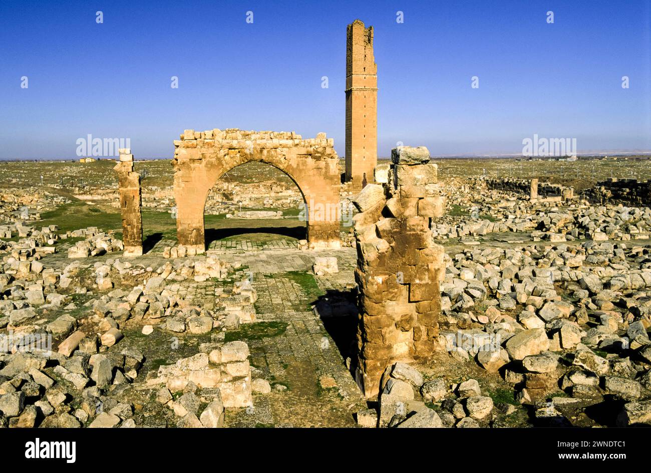 Ruins of the mosque Ulu Cami(s.VIII). Harran.Southeast Anatolia.Turquia ...