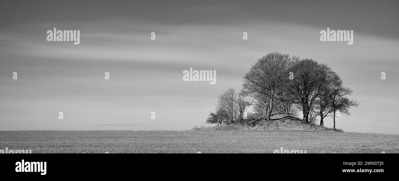 Landscape, black and white hill with trees or winter on cold morning ...