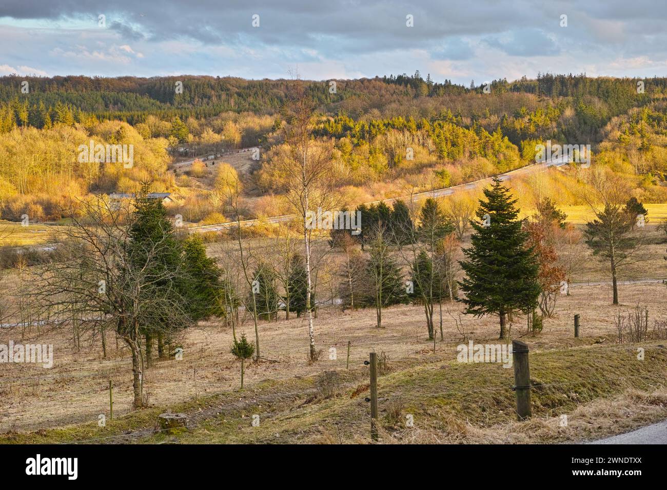 Land, nature and trees with landscape in countryside with field, sky ...