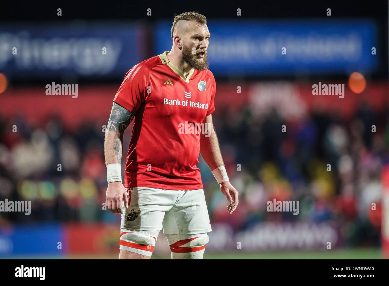 March 1st, 2024, Virgin Media Park, Cork, Ireland - RG Snyman of ...