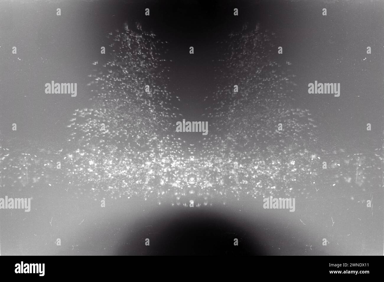 Blank grained film strip texture background with heavy grain and dust ...