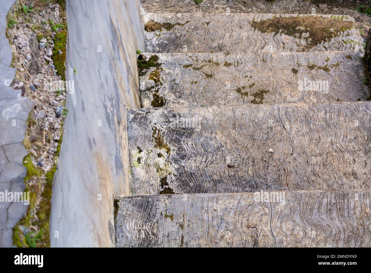 Blur object for background with nature theme Stock Photo - Alamy