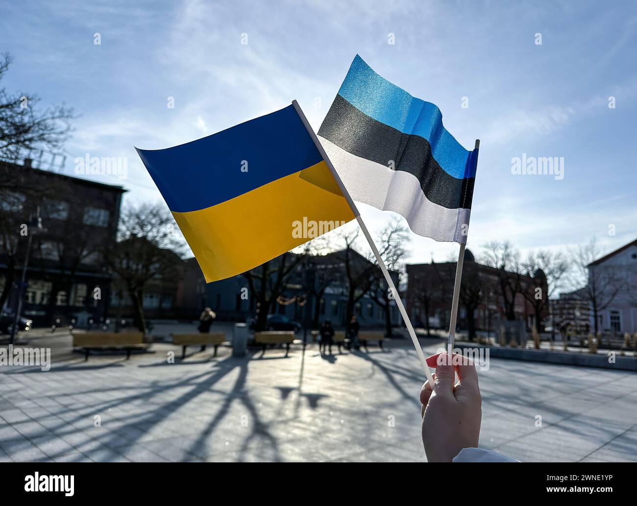 Person holding two flags in a park, representing unity or support Stock ...