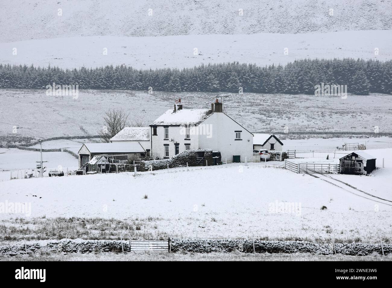 Teesdale, County Durham, UK. 2nd March 2024. UK Weather. Snow is ...