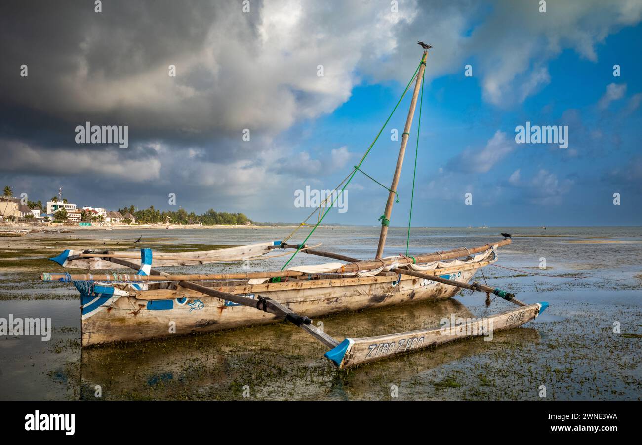 Traditional wooden dhow boats with outriggers on the beach at low tide ...