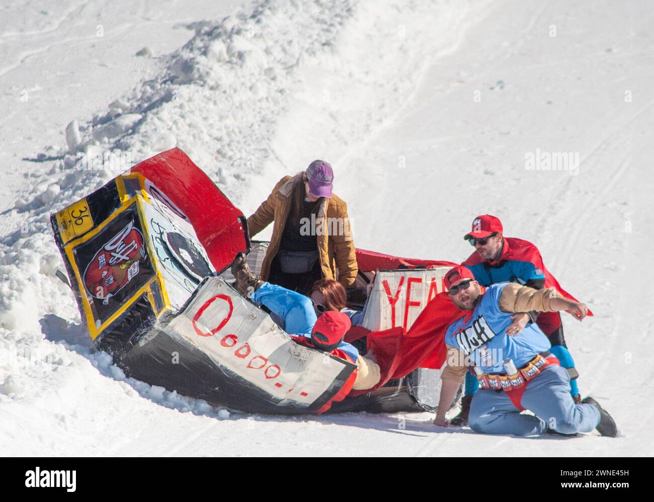 Participants react after sledding down the mountain and crashing their ...