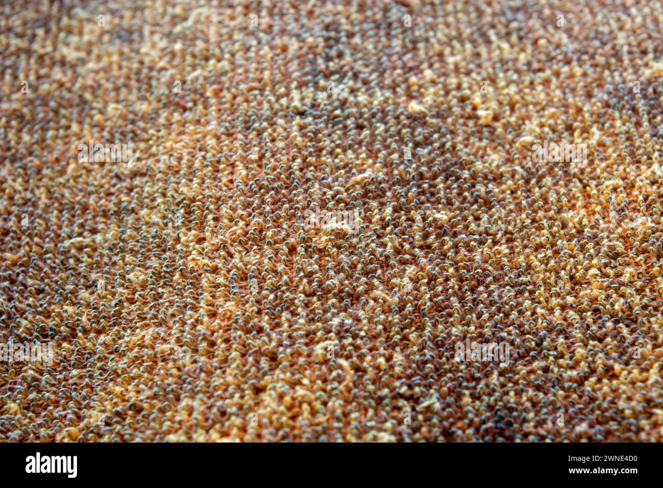 Blur object for background with nature theme Stock Photo - Alamy