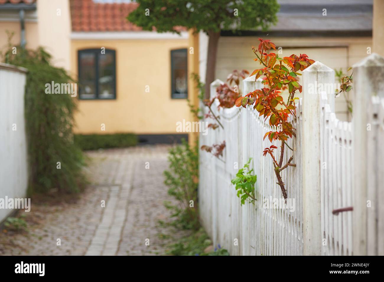 Suburb, real estate and fence in front yard, driveway and house in ...