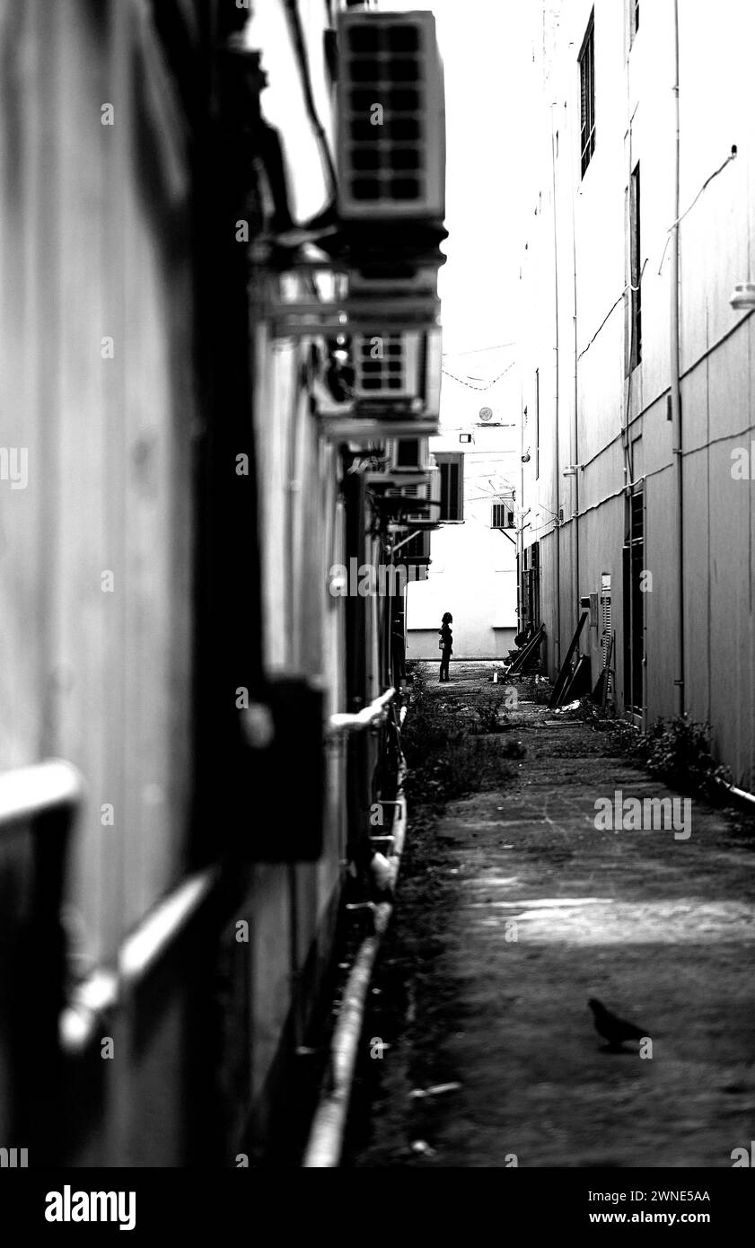 Tropical life in the city Black and White Stock Photos & Images - Alamy