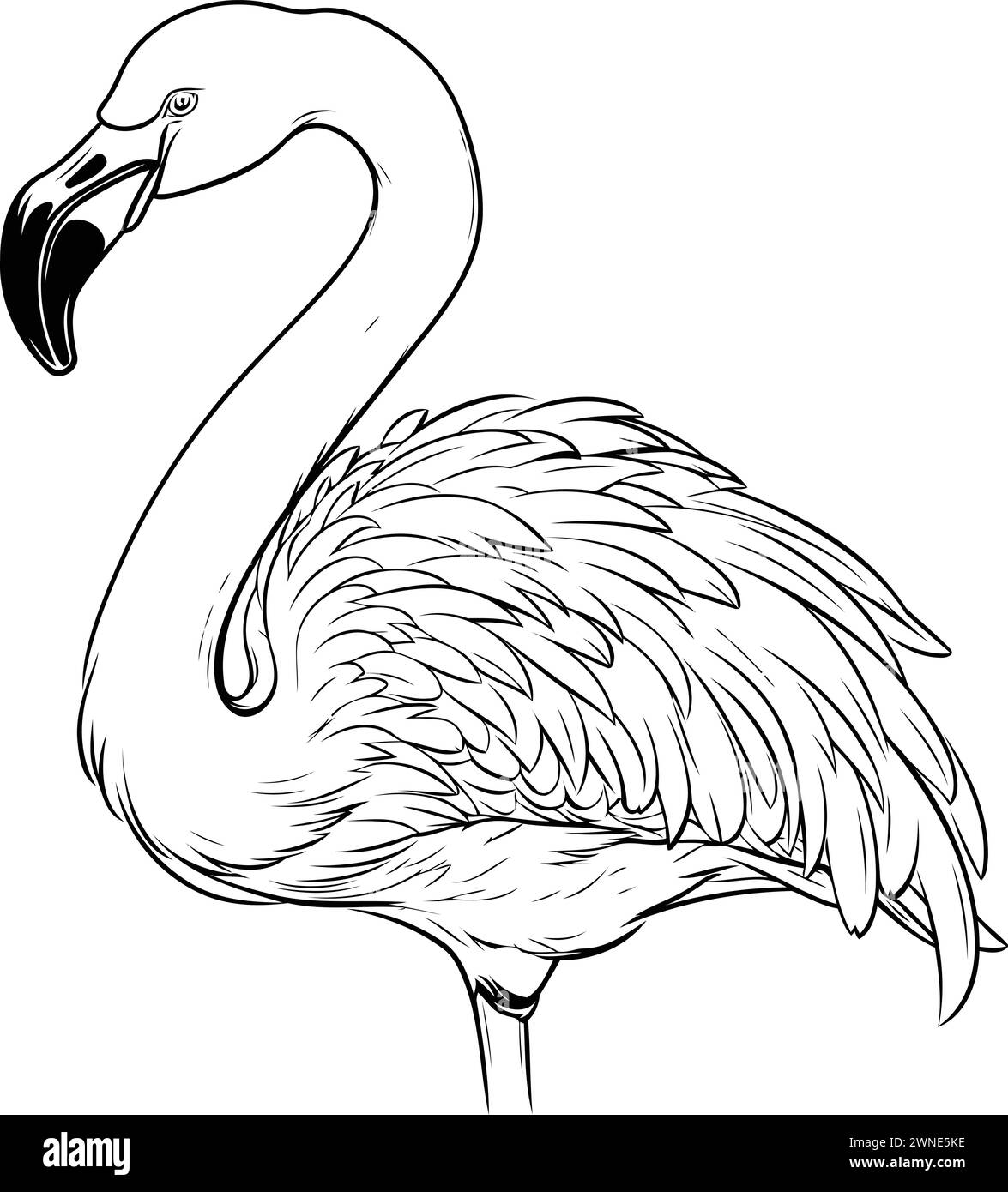 Background flamingo vector vectors Black and White Stock Photos ...