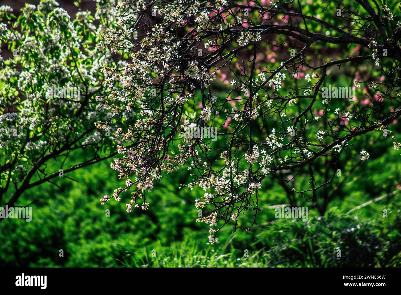 Landscape countryside in jaen hi-res stock photography and images - Alamy
