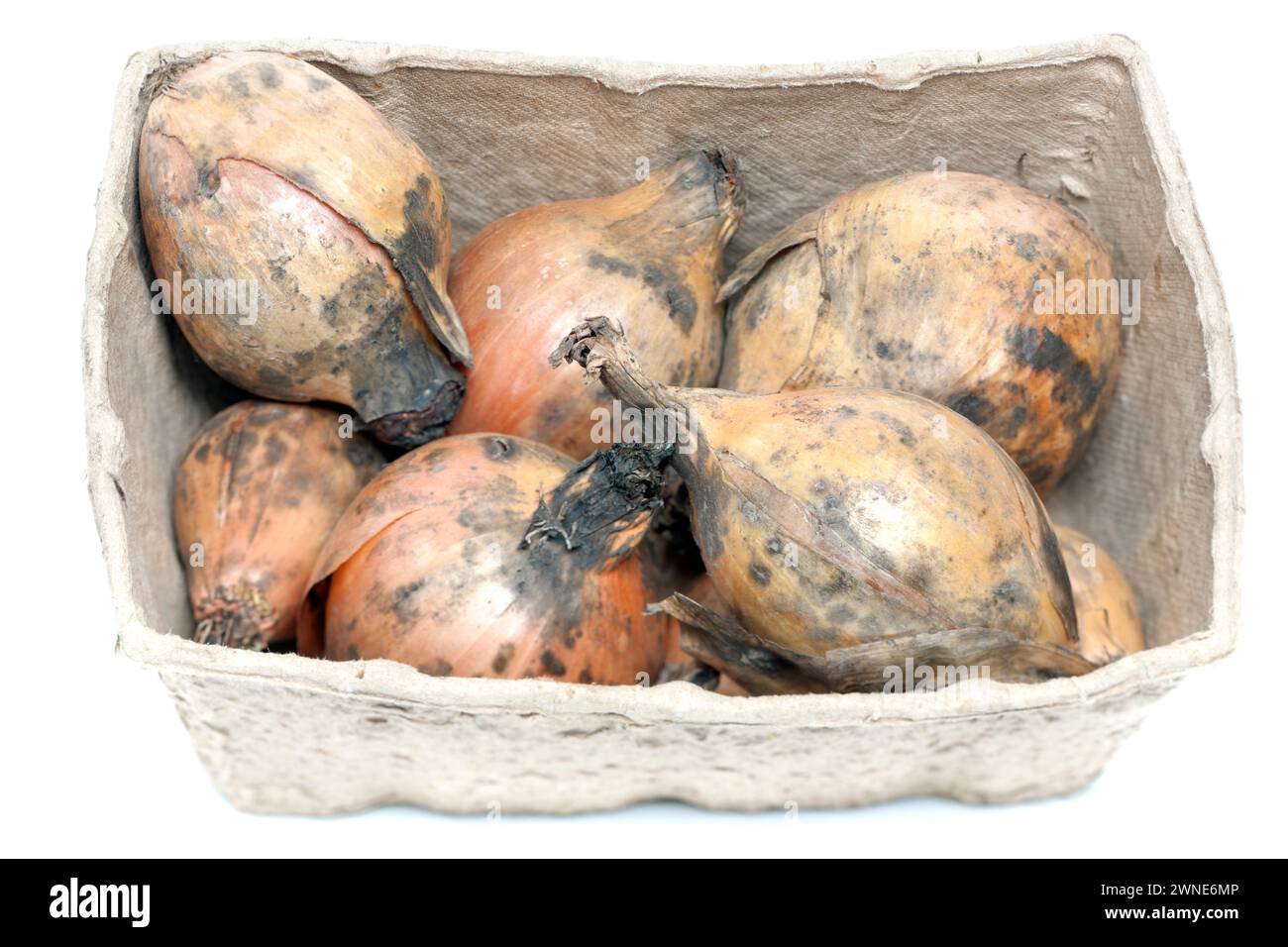 Organic onions hi-res stock photography and images - Alamy