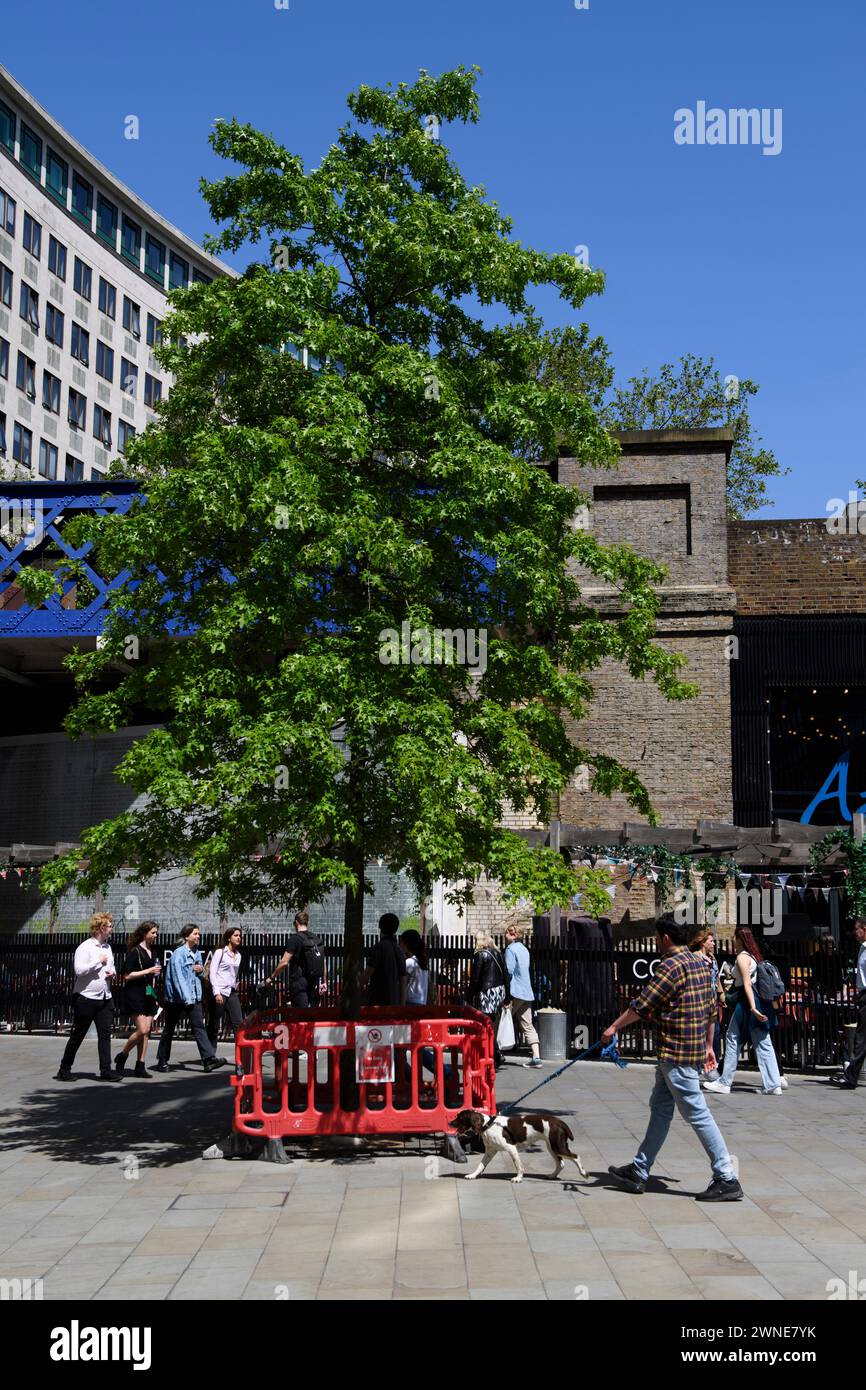 Protected walk hi-res stock photography and images - Alamy