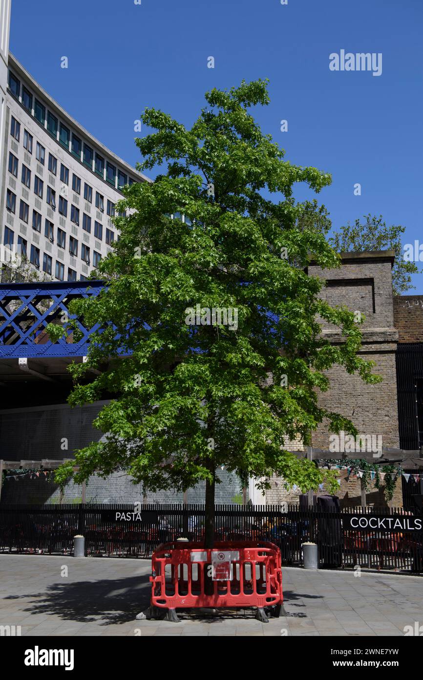 Protected walk hi-res stock photography and images - Alamy