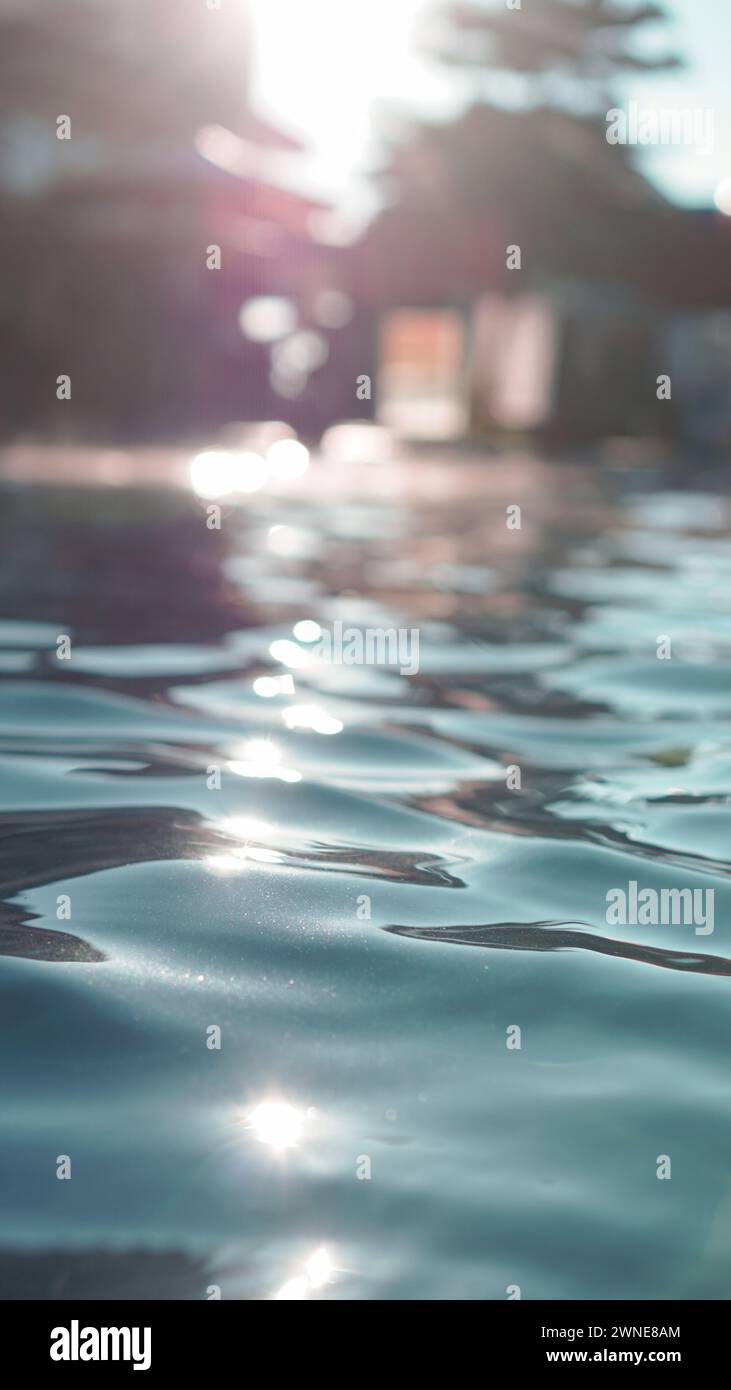 Calm water in pool with sunlight. Close-up, selective focusing ...